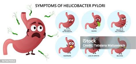 Infographie Sur Les Symptômes De Linfection À Helicobacter Pylori Avec