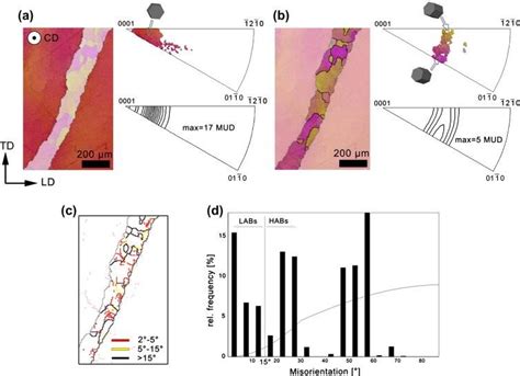 23 Deformed And Twin Drx Textures At 370 °c In Mg Single Crystals [38