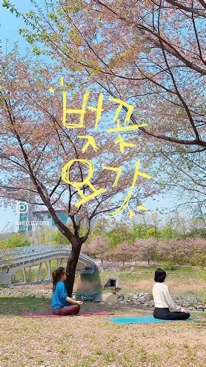 야외요가 자연과 함께 하는 요가는 그 자체로 큰 쉼의 에너지를 주네요♥️🌸 비디야 240412 Youtube
