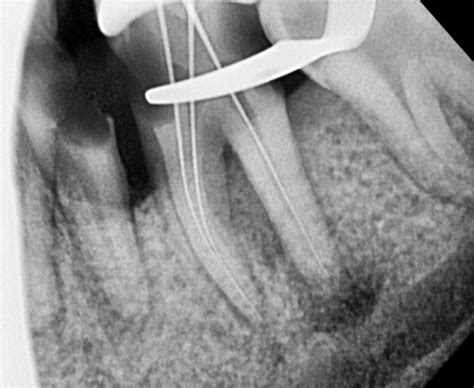 online open access dental magazine journal publication dentistry journal