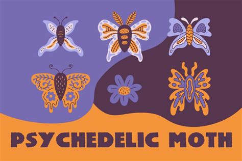 Psychedelic Moth