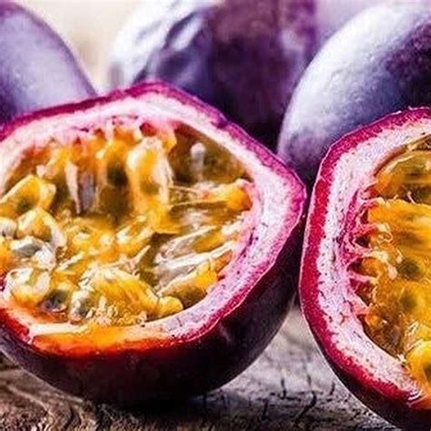 Passiflora Edulis Black Passionfruit Seeds Dandh Seed Harvest Co