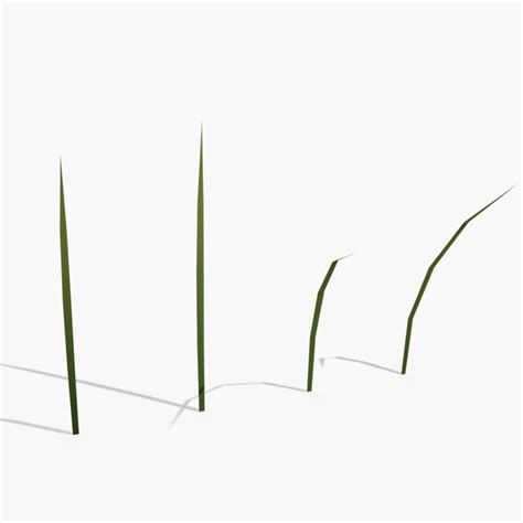 Max Grass Strands Max Grass Strands