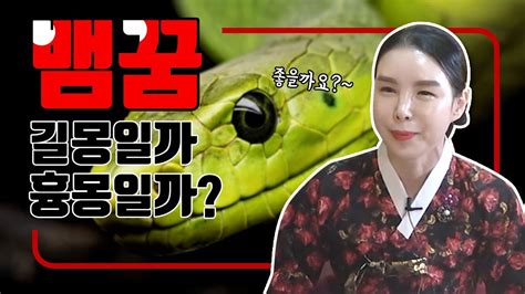 무속인이 말하는 뱀꿈 길몽 태몽 흉몽 뱀에게 물리는 꿈 쫓기는 꿈 황색뱀꿈 해몽 Youtube