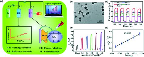 A An Illustration Of The Pec Sensing Platform To Read The Download Scientific Diagram