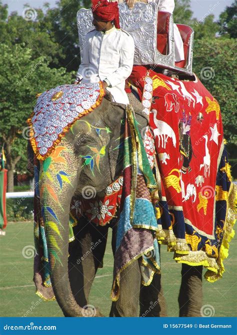 Elephant Festival Jaipur India Editorial Stock Image Image Of Paint