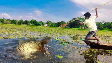 Village Unique Fish Trapping Moment By Boat In Flood Water🖤big Fish