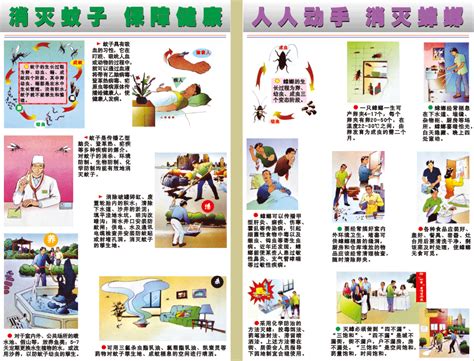 四害防治 惠州市白蚁防治行业协会