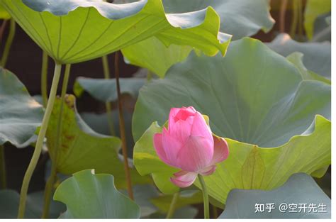 耐心等待机会投资是成功率最高的方式 知乎