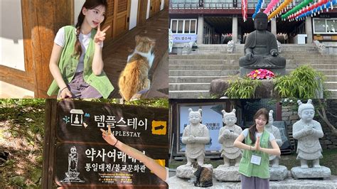 Vlog 템플스테이 브이로그 동화사 1박 2일 휴식형 Temple Stay Youtube