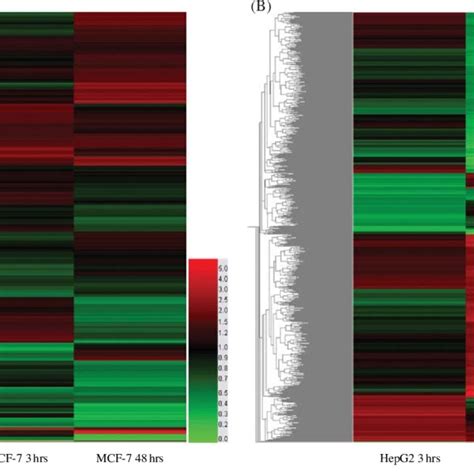 hierarchical clustering image showing the differential gene expression