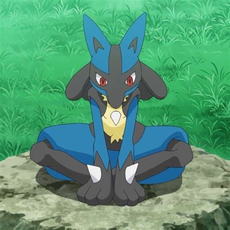 Pin On Lucario Riolu Y Mewtwo Y Cinderace
