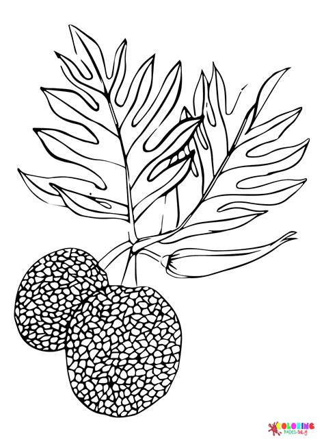 Paginas Para Colorear De Fruta Del Pan Y Pintar Imágenes Para Dibujar