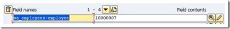 How To Modify Data In A Sap Database Table Using Abap
