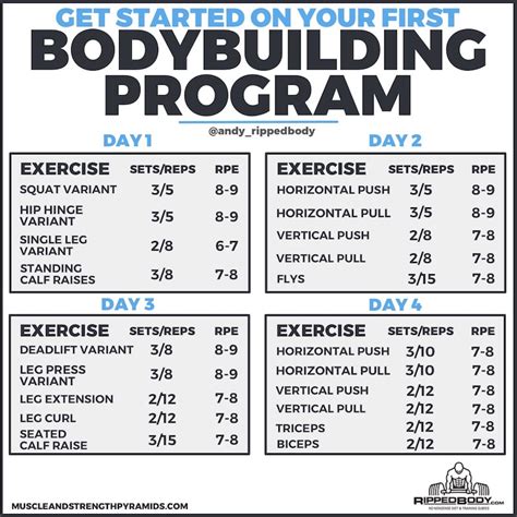 The Novice Bodybuilding Program RippedBody