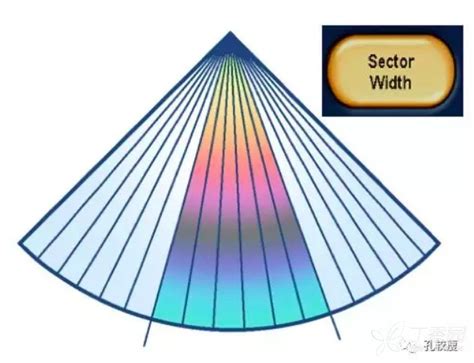 初学者如何打出漂亮的心脏超声图像？ 丁香园