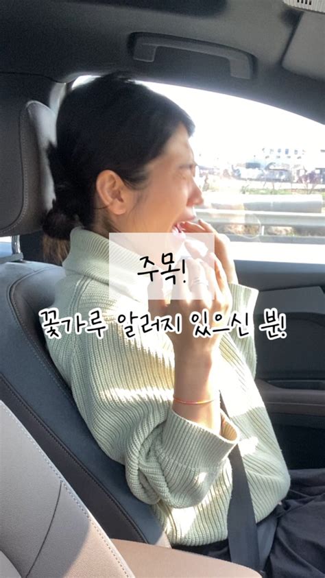 엄마표놀이ㅣ교사엄마 꽃가루 알러지 있으신 분 여기 주목이요 ️ 저는 오리나무 자작나무에 대한 알러지 반응이 있는데 이게