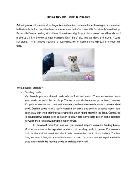 Tips For New Cat Owners Pdf Cats