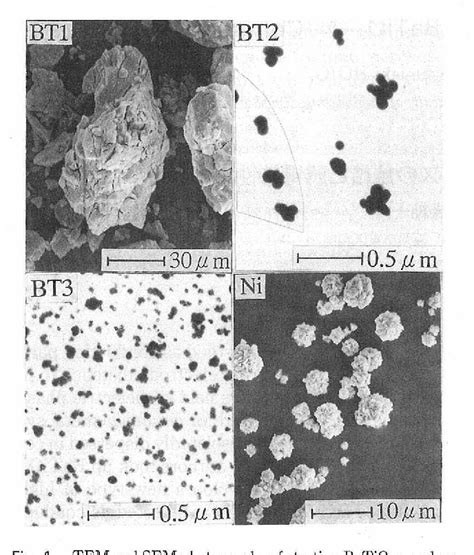 Figure 1 From Sintering And Dielectric Properties Of Batio3 Ni Composite Ceramics Semantic Scholar