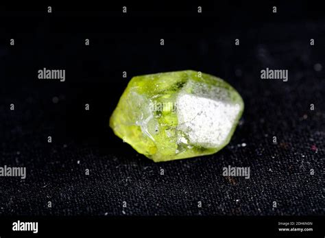 Vibrant Green Forsterite Crystal Mineral Sample Gem Science Geologyv