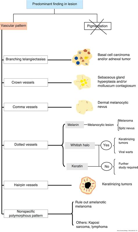 Vascular Patterns In Dermoscopy Actas Dermo Sifiliográficas