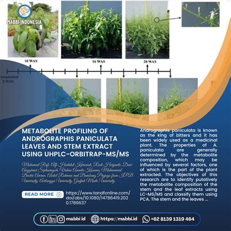 Metabolite Profiling Of Andrographis Paniculata Leaves And Stem Extract
