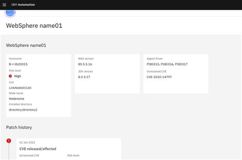 Ibm Websphere Automation