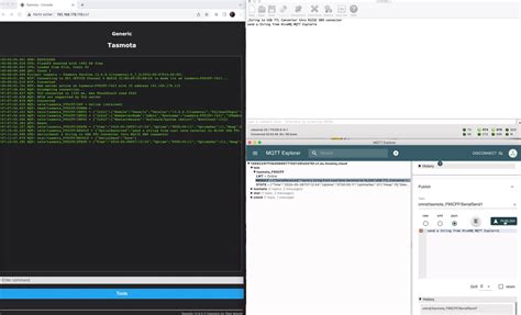 Tasmota Hivemq Rs232 Mqtt Beispiel Ei Otde