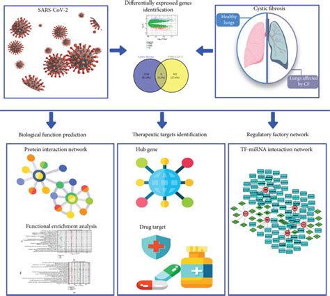 Image Workflow Of This Studys Methods A Transcriptomic Comparative