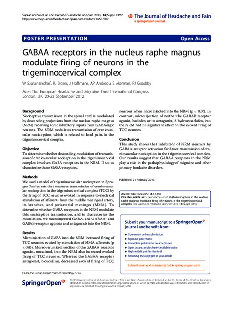 Pdf Gabaa Receptors In The Nucleus Raphe Magnus Modulate Firing Of Neurons In The