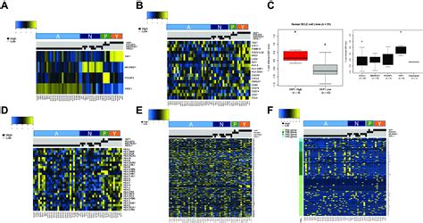 supervised analysis of expression data set from 51 sclc cell lines from
