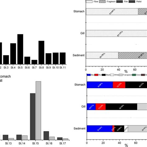 Microplastic Amount Type And Color Categories Determined In Stomach