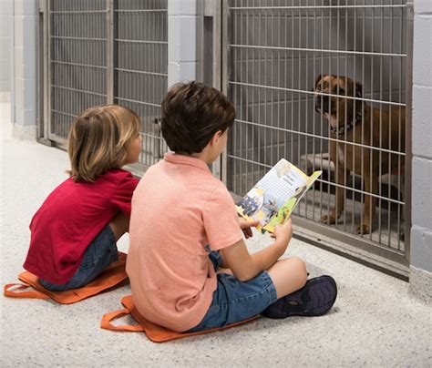 The Jax Humane Society Serves The Local Animal Population In More Ways