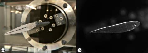 A The Symmetric Composite Hydrofoil Naca0018 Mounted In The Legi Download Scientific Diagram