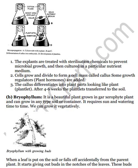 Selina Concise Biology Class 8 Icse Solutions Chapter 2 Reproduction In