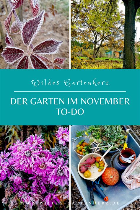 To Do Im November Im Garten Freudengarten