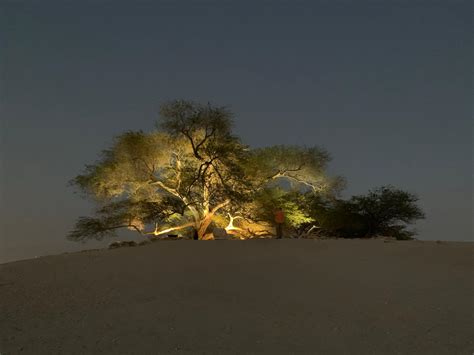 Design Your Own Trip To Bahrain MIR Corp