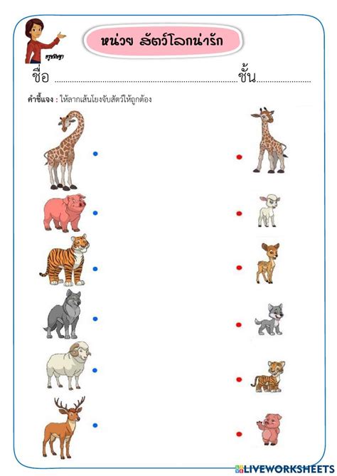 ใบงาน หน่วย สัตว์โลกน่ารัก Online Exercise For Live Worksheets