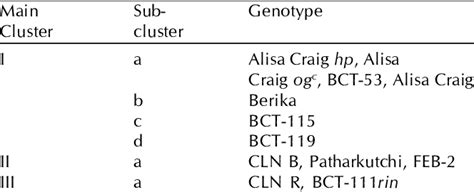 clustering pattern of the twelve diverse genotypes download