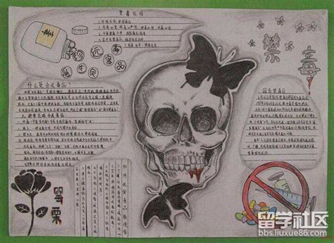 禁毒手抄报图片