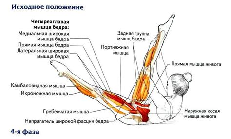 Упражнения на растягивание четырехглавой мышцы бедра и подколенных