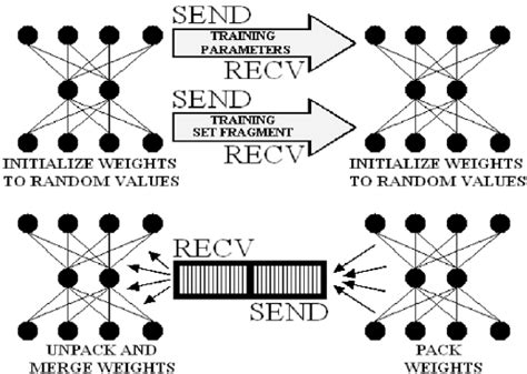 Training Set Parallelization In Counterpropagation Networks Download Scientific Diagram
