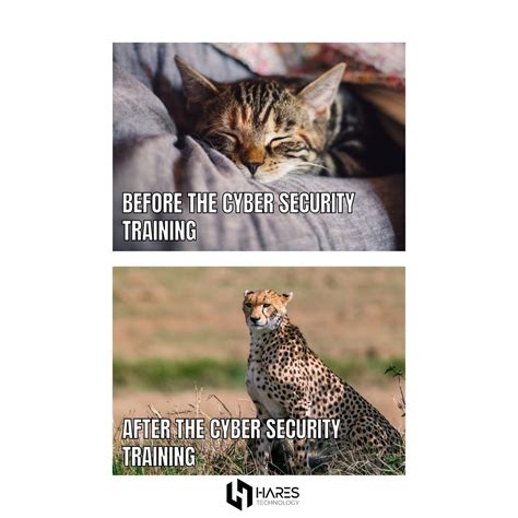 Hares Technology On Linkedin Exciting Opportunity For University