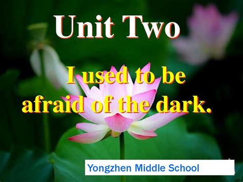 新目标英语九年级unit 2 Section B 第一课时 word文档在线阅读与下载 无忧文档