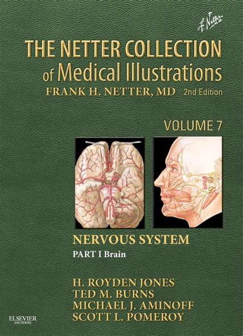 Trigeminal Nerve Netter