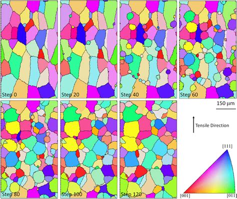 Simulated Inverse Pole Figure Ipf Map Of Microstructured Evolution In Download Scientific