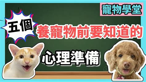 【寵物學堂09】5個養寵物前要有的心理準備 沒做好這些準備 別說你要養動物｜寵物知識 貓知識 狗知識｜烏骨肌 Youtube
