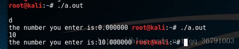 Kali Linux 编译c语言kali怎么运行c文件 Csdn博客