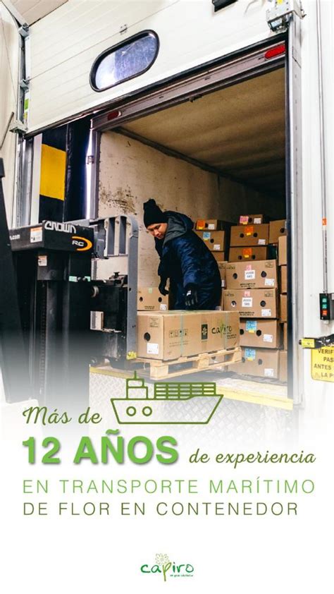 Proceso Logístico Marítimo En El Cultivo De Crisantemo Ruta De La
