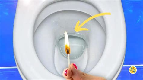 Débarrassez vous des Mauvaises Odeurs des WC Grace à Ces 4 Astuces